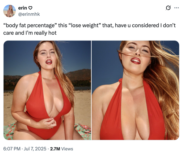 “body fat percentage” this “lose weight” that, have u considered I don’t care and I’m really hot A "tweet":https://knowyourmeme.com/memes/sites/twitter-x from "Twitter / X":https://knowyourmeme.com/memes/sites/twitter-x user Erinmhk, which showed her in a red swimsuit.