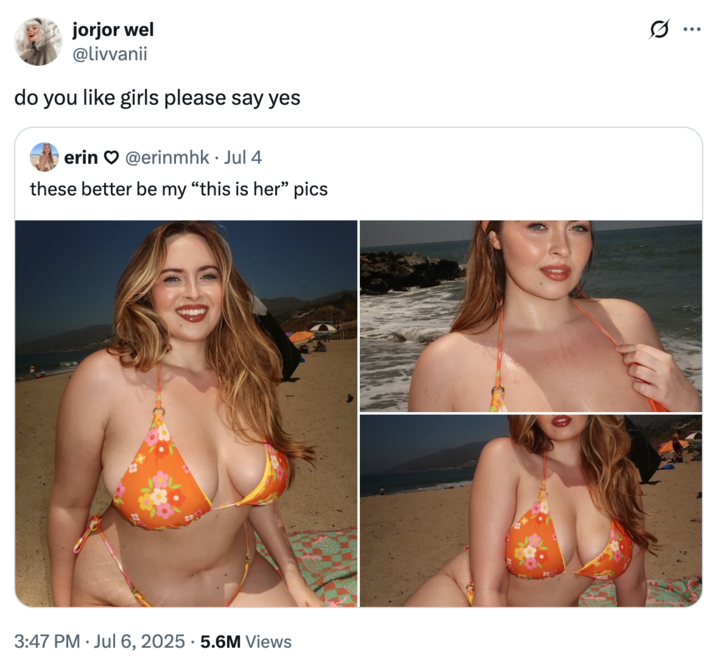 do you like girls please say yes A "quote-tweet":https://knowyourmeme.com/memes/quote-retweets-qrts of "Twitter / X":https://knowyourmeme.com/memes/sites/twitter-x user Erinmhk, which showed her in a bikini with the caption, "These better be my 'this is her' pics."