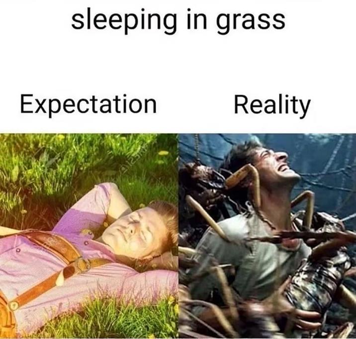 And people always ask why I don’t like being outdoors | /r/memes | Know ...