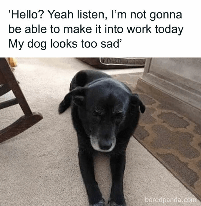 27 Relatable Work Moments To Get Over The Hump Of The Week | Know Your Meme