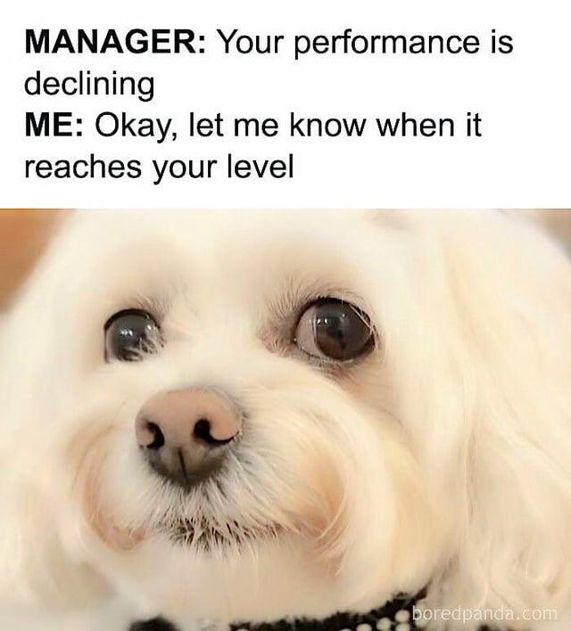 27 Relatable Work Moments To Get Over The Hump Of The Week | Know Your Meme