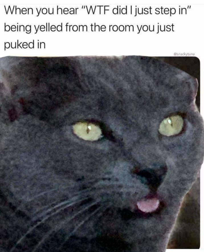 Pukey lil fur baby | /r/memes | Know Your Meme