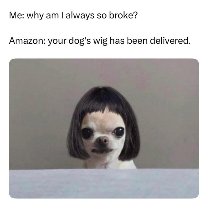 She needed the wig, ok? | /r/memes | Know Your Meme