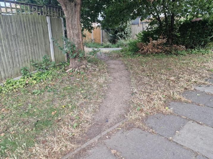 People Desired These 25 Paths | Know Your Meme