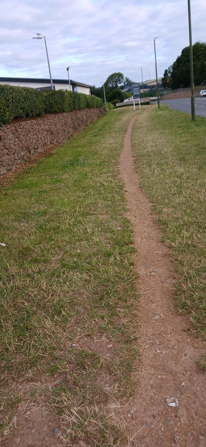 People Desired These 25 Paths | Know Your Meme