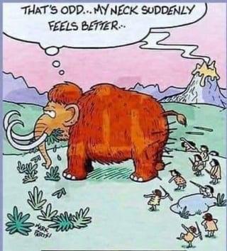 25 Boomer Humor Jokes That Are Actually Good | Know Your Meme