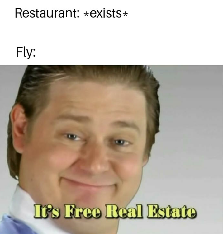 Those pesky little creatures are very bold | /r/dankmemes | Know Your Meme