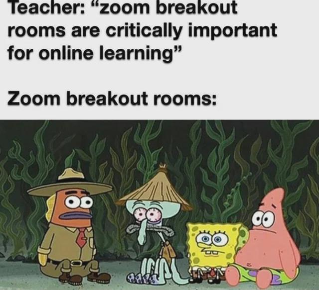 Average virtual course experience | /r/dankmemes | Know Your Meme