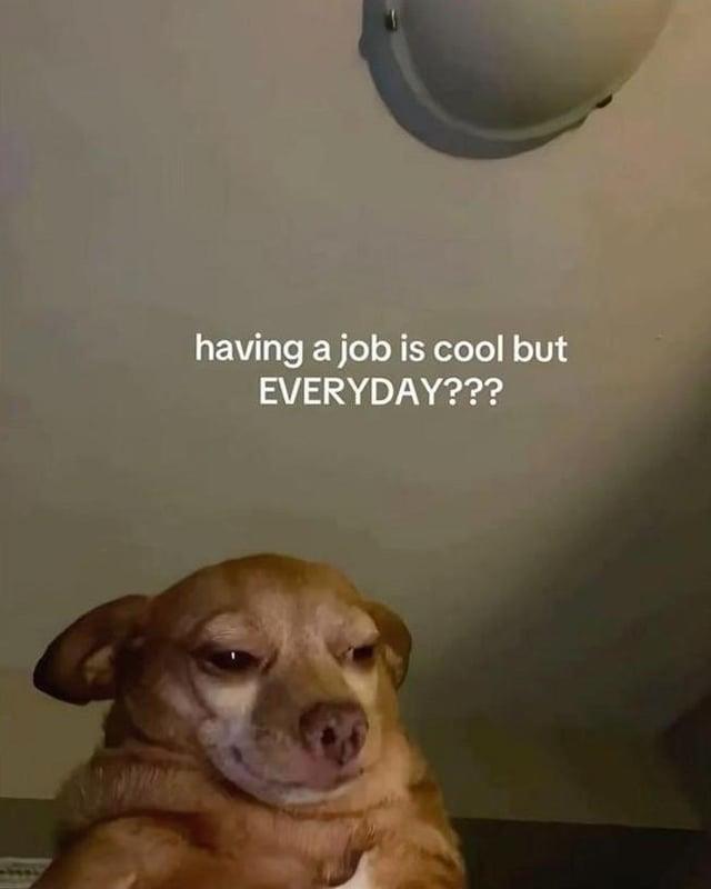 Endure The Middle Of The Week With 25 Work Memes | Know Your Meme