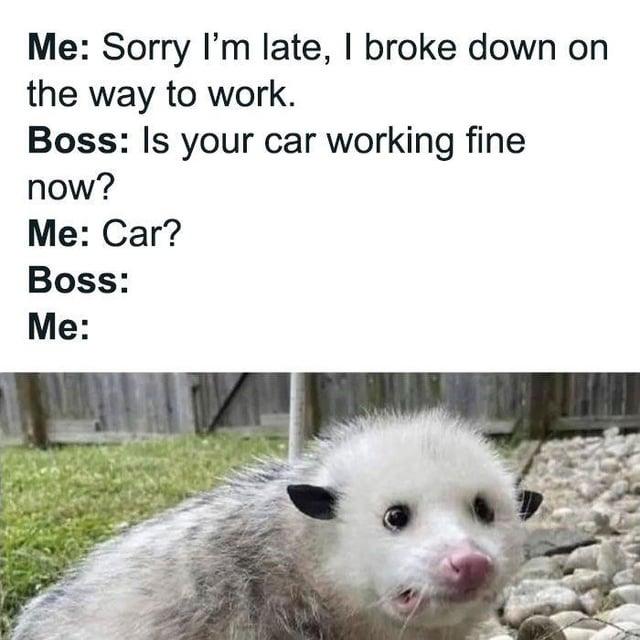 25 Memes About Your Work Week To Relate To Today | Know Your Meme
