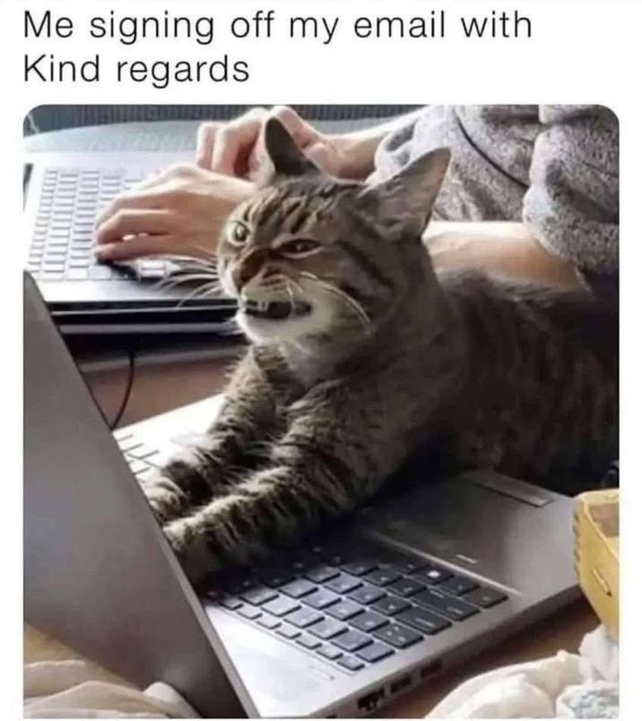 25 Memes About Your Work Week To Relate To Today | Know Your Meme