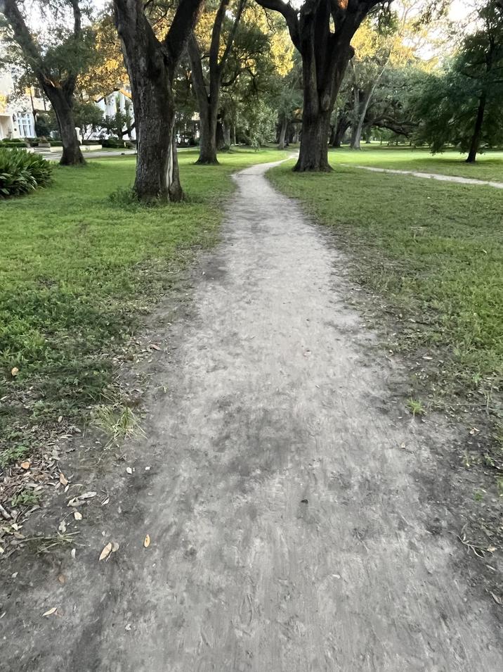 25 Paths And Walkways Made From Human Desire | Know Your Meme