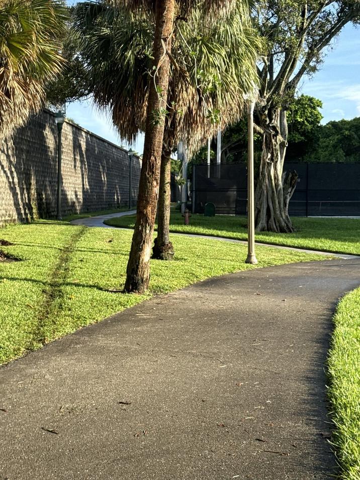 25 Paths And Walkways Made From Human Desire | Know Your Meme