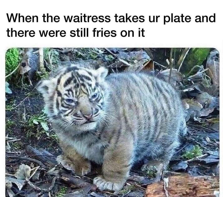 August's 25 Top Rated Memes According To Reddit Users | Know Your Meme