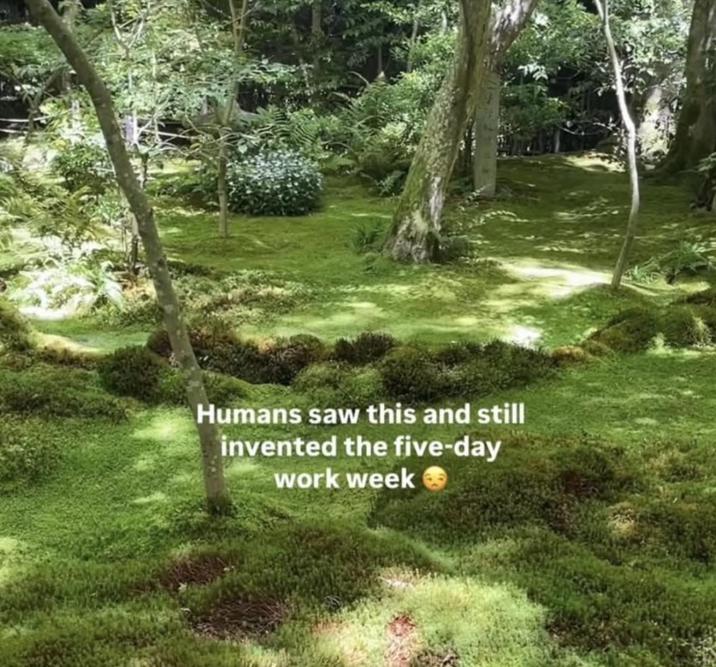 Endure The Day With 25 Relatable Work Memes | Know Your Meme