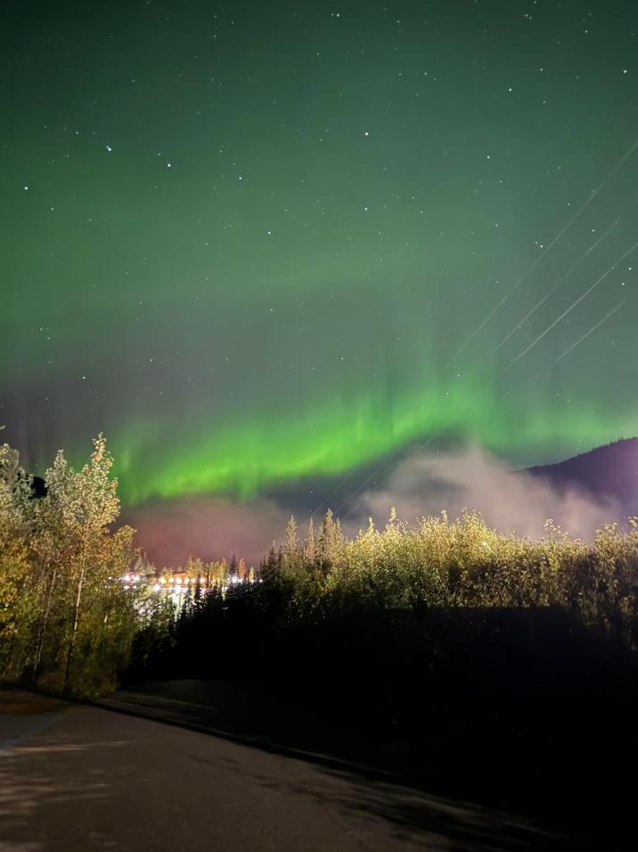 Denali National Park | Know Your Meme