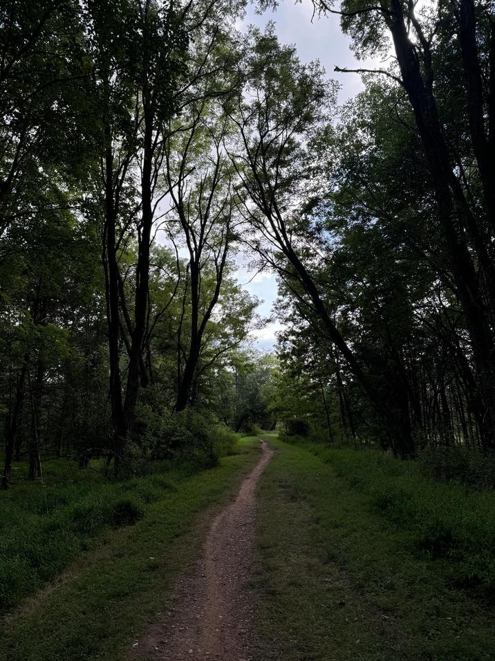 25 Alternate Paths Made By Human Desire | Know Your Meme