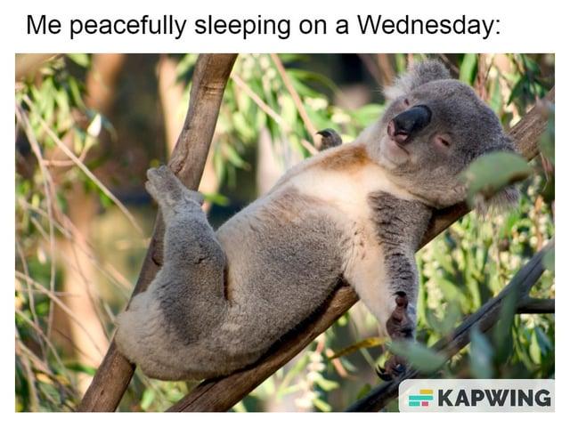 Endure The Week With 25 Work-Related Memes | Know Your Meme