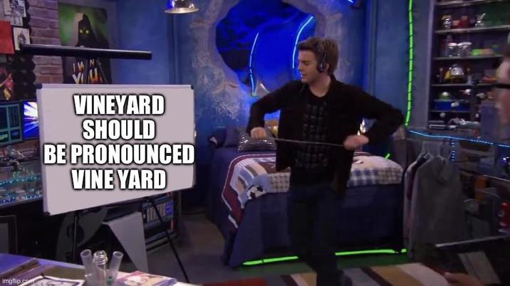 Yard of vines. How do we not get it?! | /r/memes | Know Your Meme