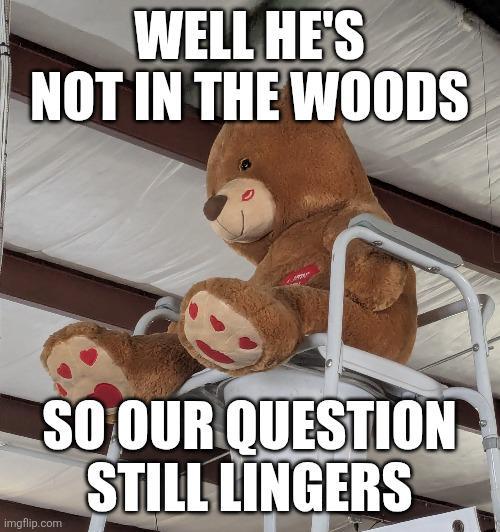 Schrodinger's bear | /r/memes | Know Your Meme