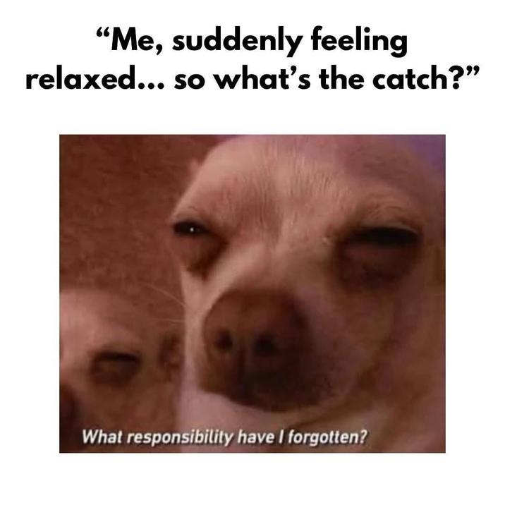 What have I forgotten today? | /r/memes | Know Your Meme