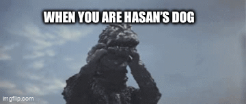 When you are Hasan’s Dog | Hasan Piker Dog Shock Collar Controversy ...