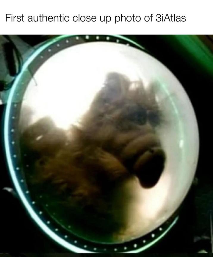 First glimpse | /r/memes | Know Your Meme