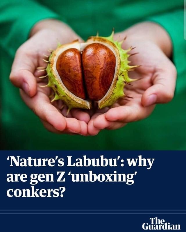Nature's Labubu | Know Your Meme