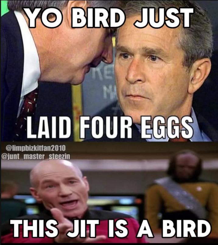 Your Bird Just laid Four Eggs | This Jit Cracks Birds | Know Your Meme