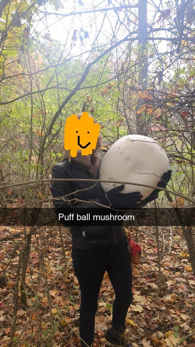 25 Absolute Units To Be In Awe Of | Know Your Meme