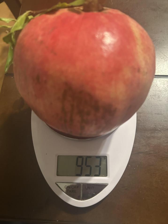 This pomegranate | Absolute Unit | Know Your Meme