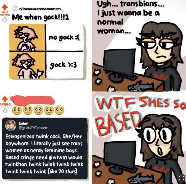 Boymoder browses Reddit | /tttt/ | Know Your Meme