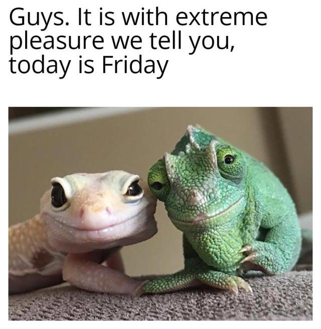 TGIF, Enjoy 23 Memes To Celebrate The Weekend | Know Your Meme