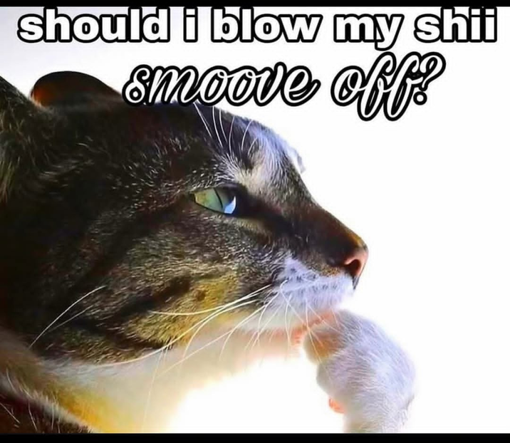 Smoove off | /r/dankmemes | Know Your Meme