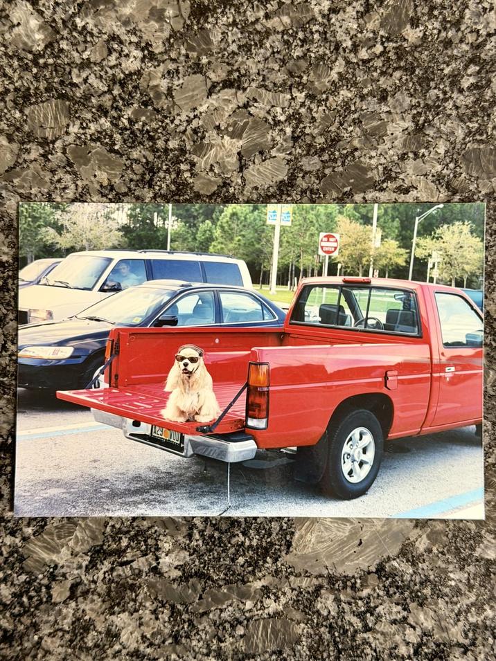 Unknown Super Cool Dog | Know Your Meme