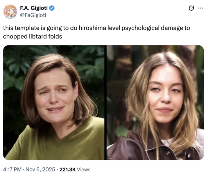 this template is going to do hiroshima level psychological damage to chopped libtard foids ...