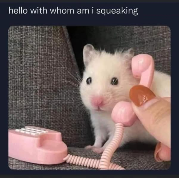 And how mice I help you today? | /r/dankmemes | Know Your Meme