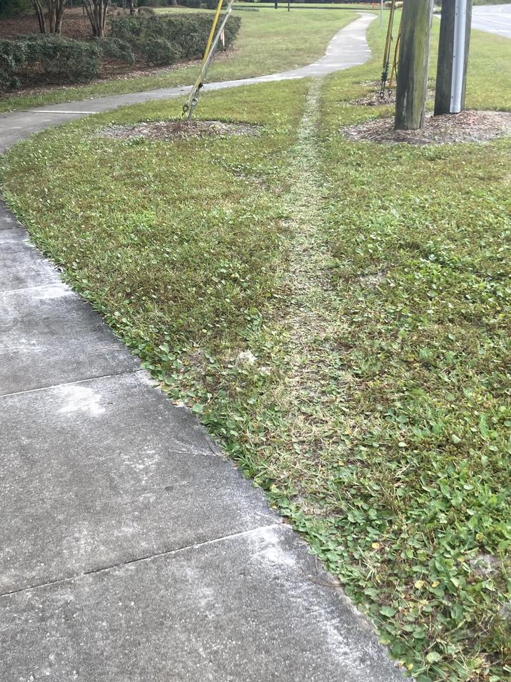 These Paths And Trails Were Carved By Human Desire | Know Your Meme