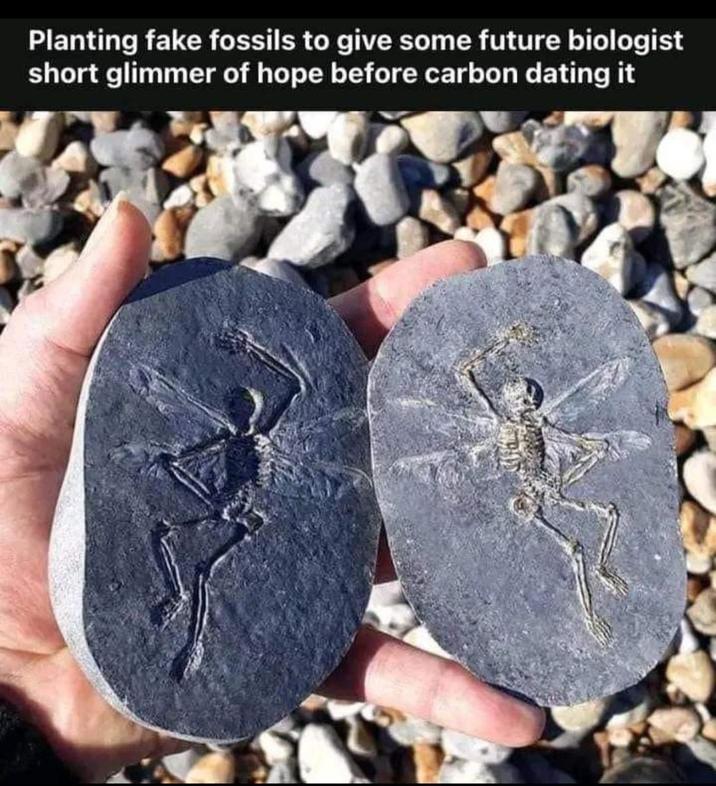 A glimmer of hope | Know Your Meme