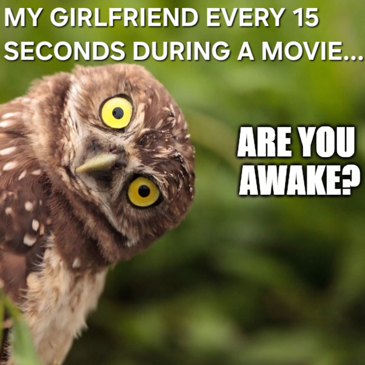 In my defence, it has been a tiring week | /r/memes | Know Your Meme