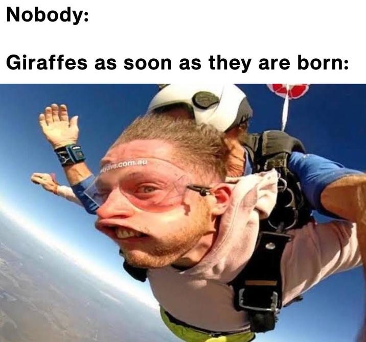 Aerial acrobatics | /r/dankmemes | Know Your Meme