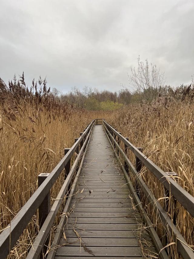 25 Liminal Spaces You've Seen In Your Dreams | Know Your Meme