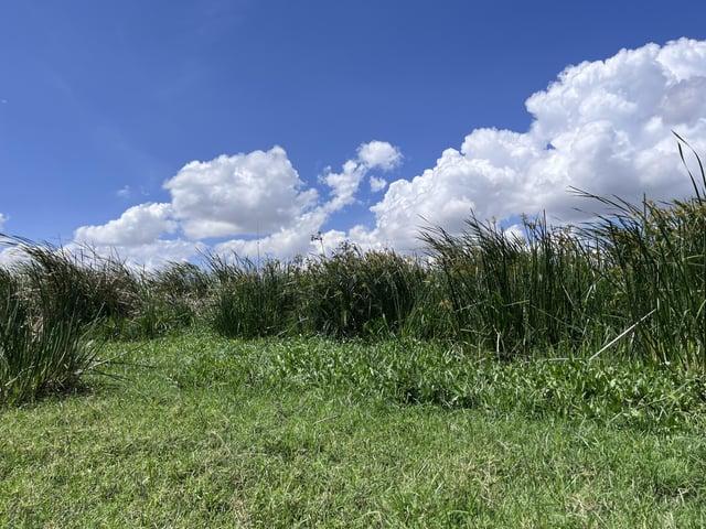 25 Liminal Spaces You've Seen In Your Dreams | Know Your Meme