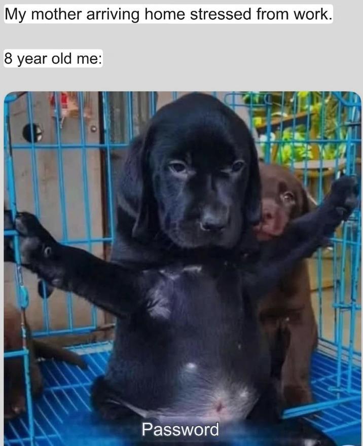 Holup momma | /r/memes | Know Your Meme