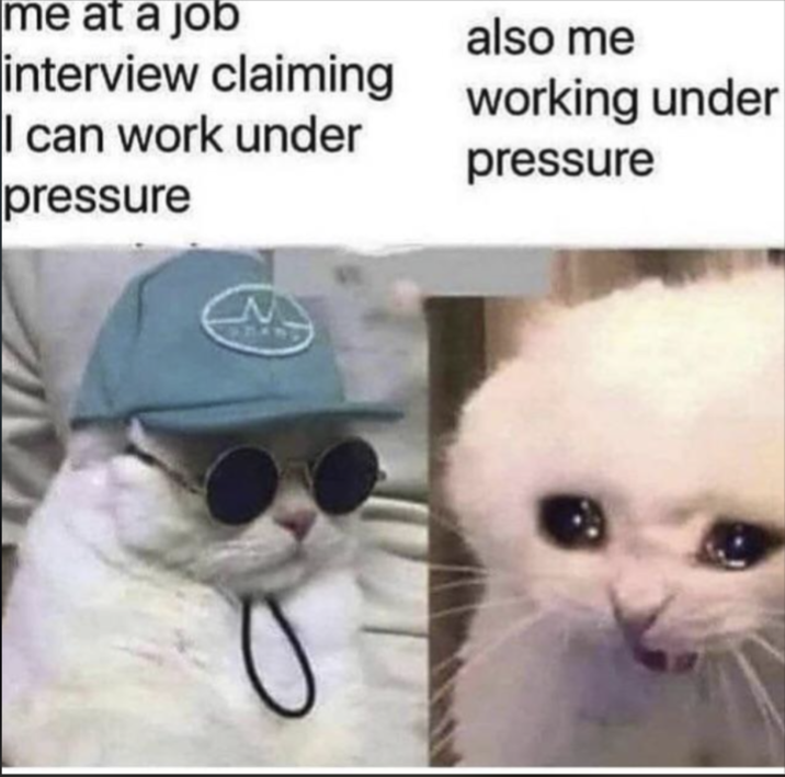 Survive The Week With 25 Relatable Working Memes | Know Your Meme