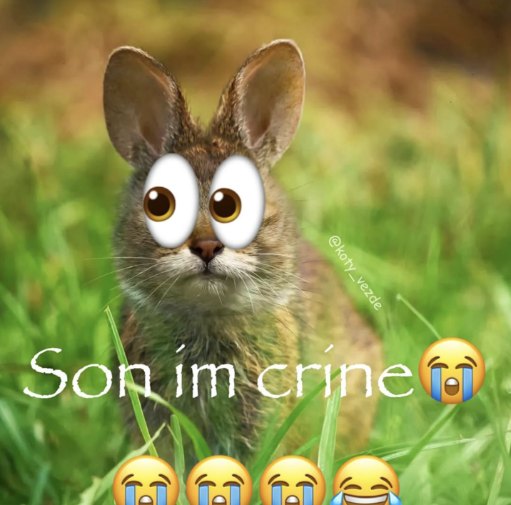 Son I'm Crine Bunny Eyes Emoji Meme | I'm Crine | Know Your Meme