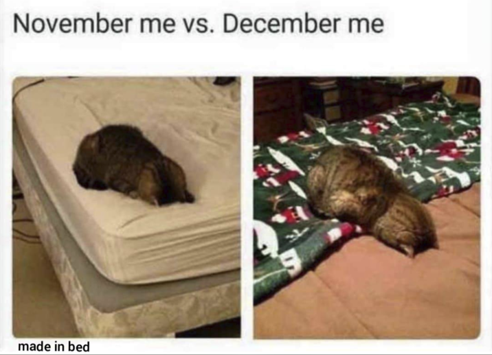 It's December, Celebrate With Some Festive Memes | Know Your Meme