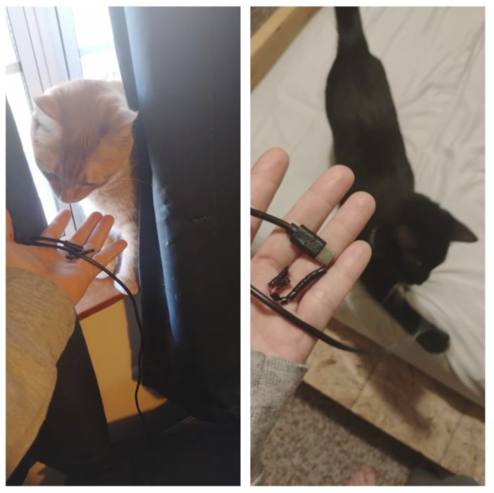 Sigh... | Cats | Know Your Meme