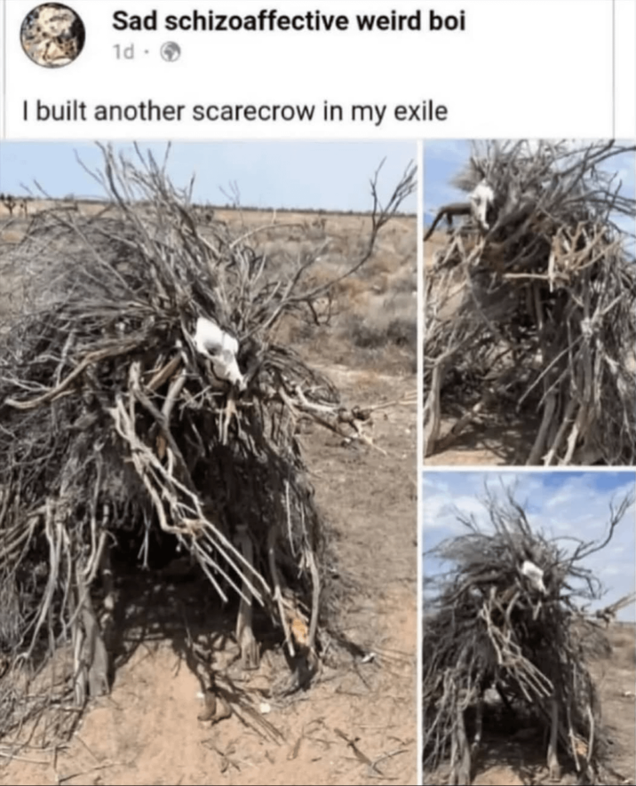 25 Comments That Are Too Oddly Specific | Know Your Meme