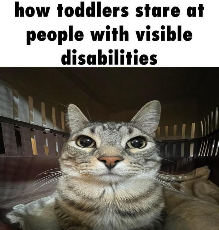 Zazu Meme | Zazu | Know Your Meme